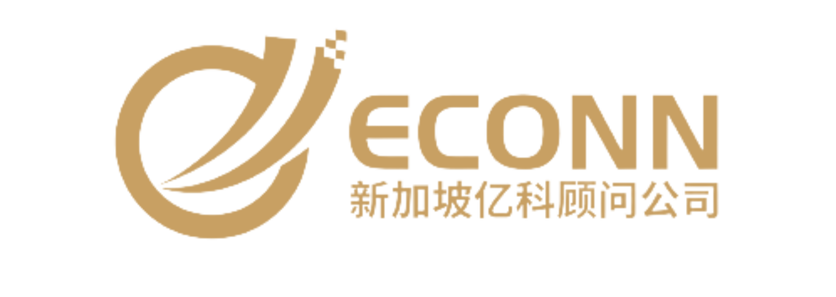 Econn Consultancy, Singapore